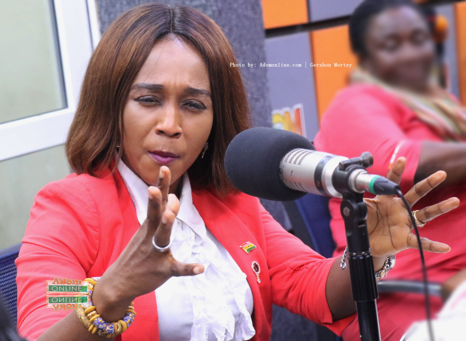 Calls on Napo to resign misplaced – Deputy Minister - Adomonline.com