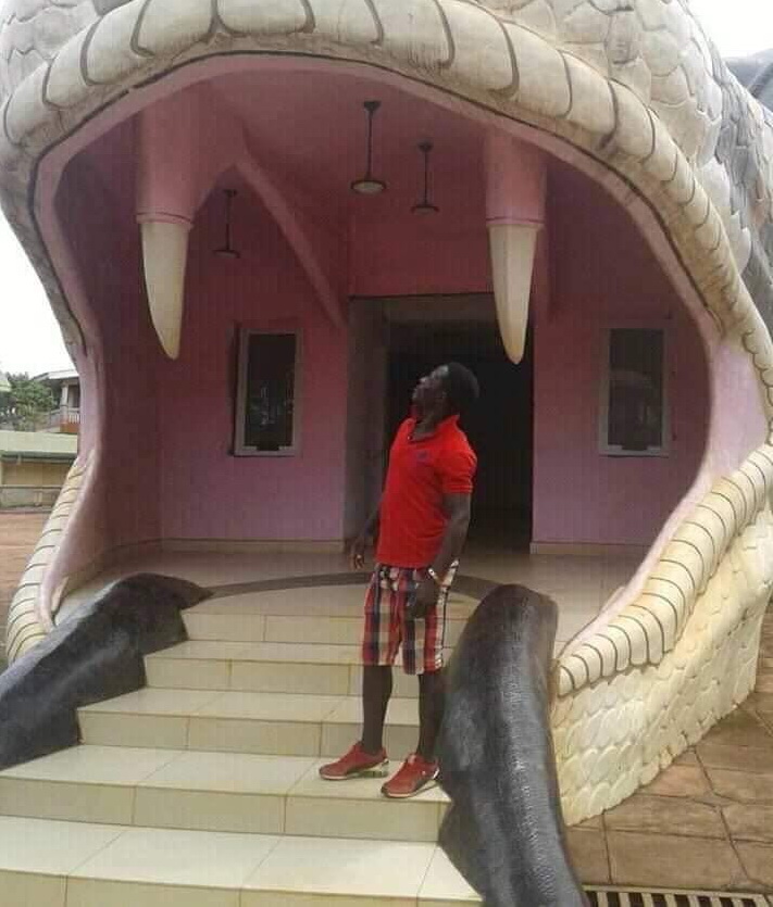 Man shows off his snake mansion - Adomonline.com