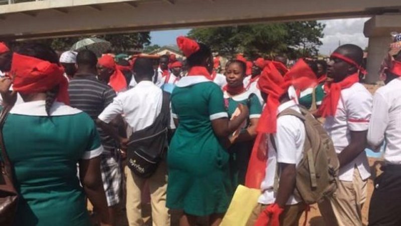 Unemployed nurses, midwives to embark on massive demo - Adomonline.com