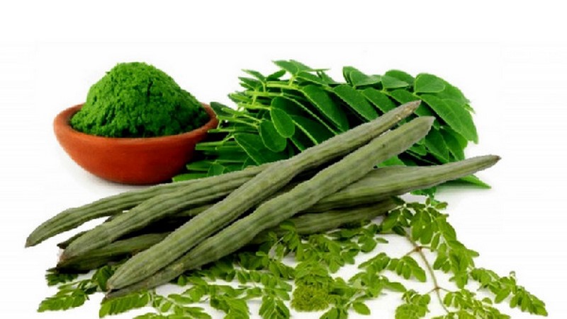 Moringa: The health benefits of this plant are unbelievable ...