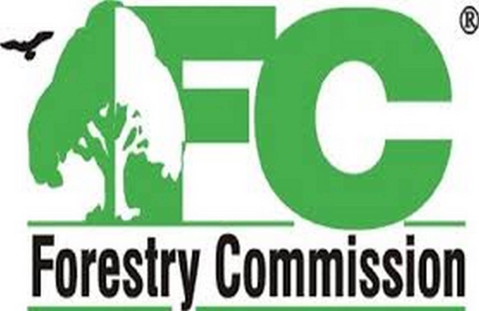 Harmattan: Forestry Commission readies itself to tackle bush fires ... Harmattan: Forestry Commission readies itself to tackle bush fires ...