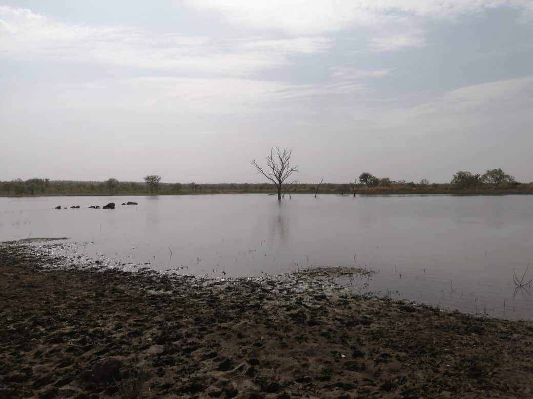 Heavy downpour, Bagre dam spillage kills 4 in North East - Adomonline.com