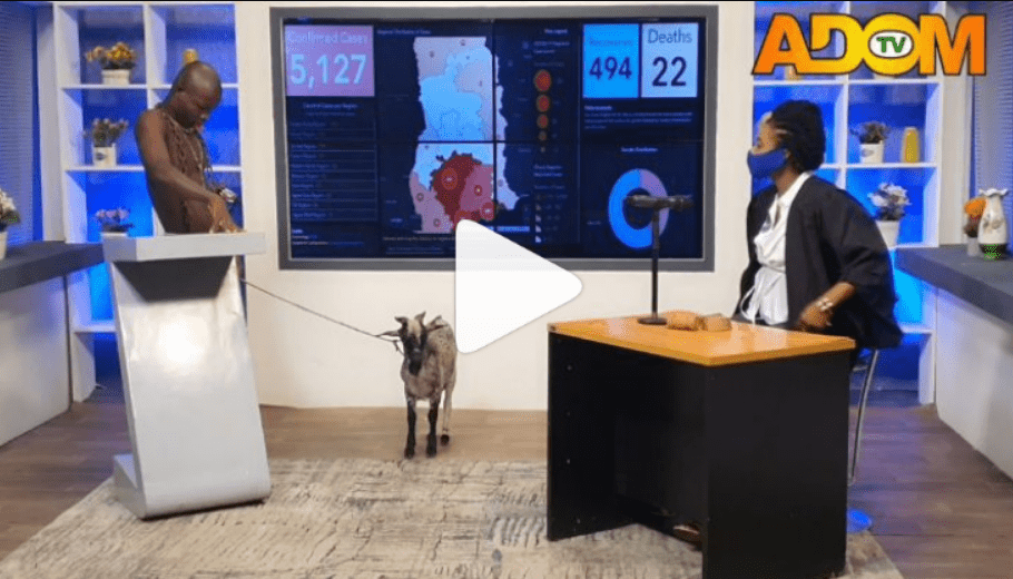AY Poyoo surprises Sister Sandy with a live goat [Video] - Adomonline.com