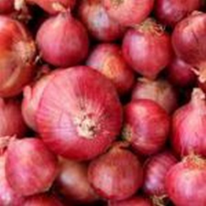 How onions improve men's sex drive and health - Adomonline.com