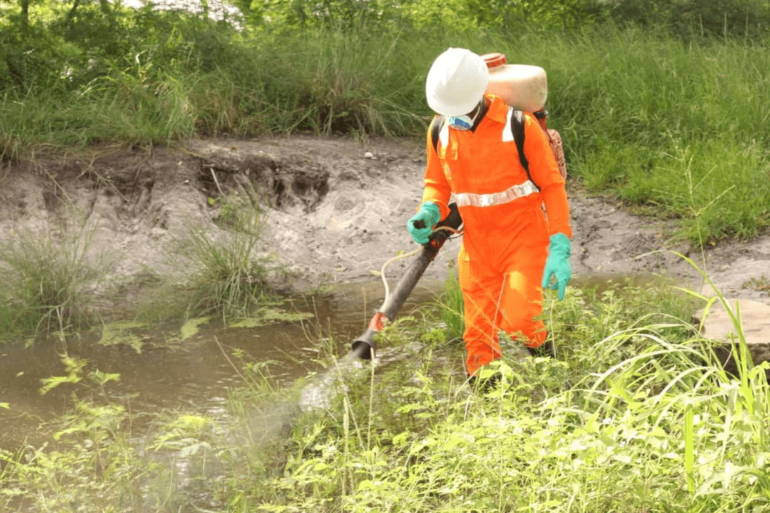 Larvae source management to control mosquito population begins in Tema ...