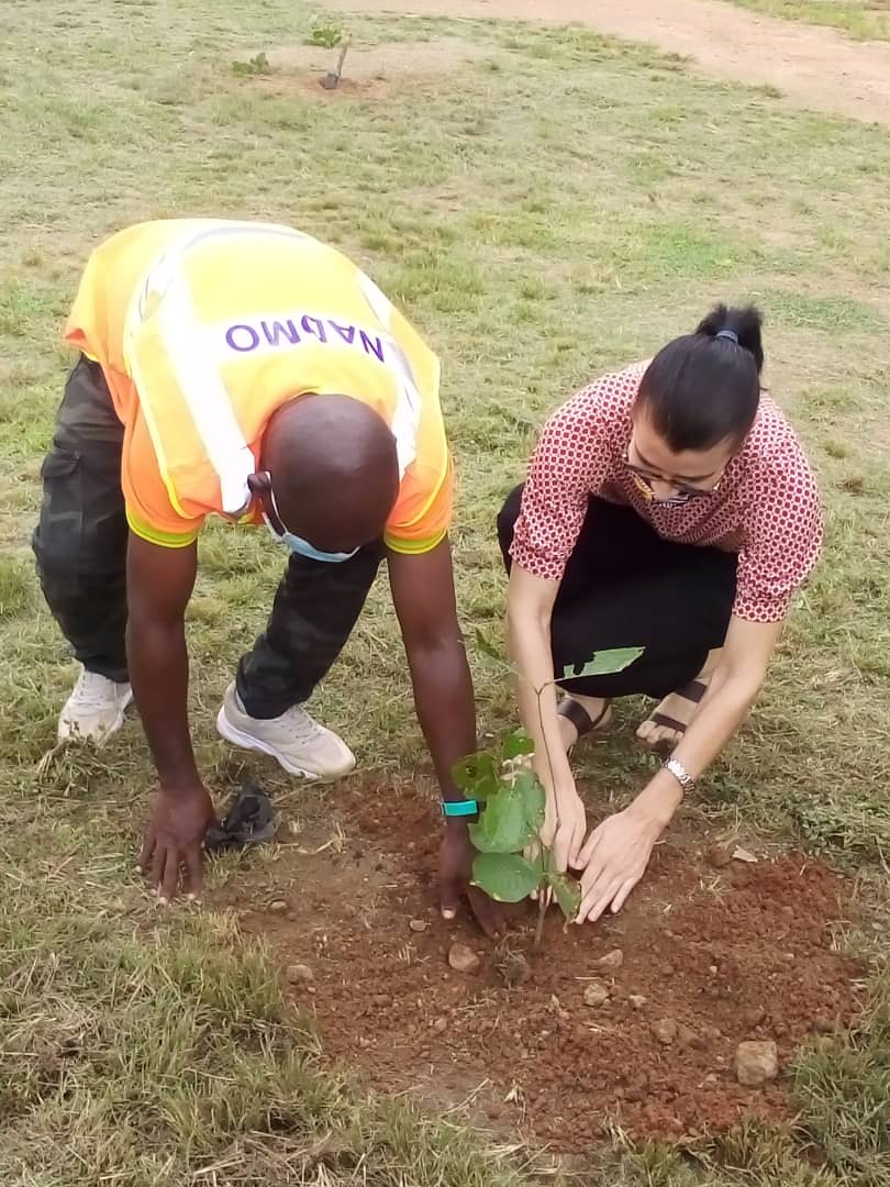 NADMO embarks on tree planting exercise in the Eastern region [Photos ...