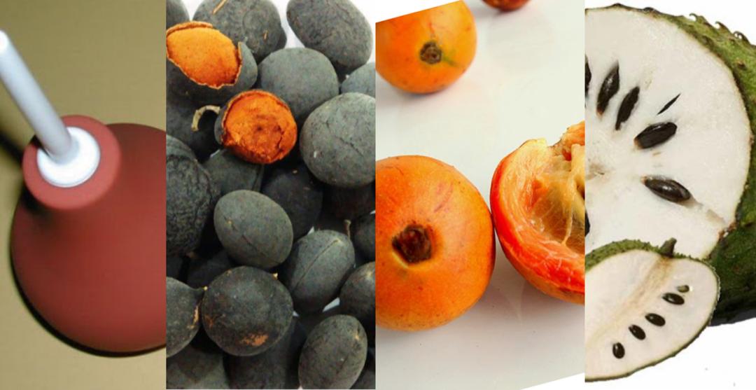 Check out interesting English names for 'local' Ghanaian fruits and ...