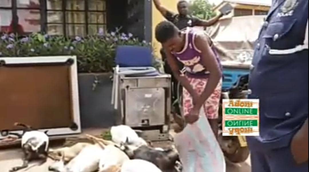 Man, 20, arrested for stealing nine goats [Video] - Adomonline.com