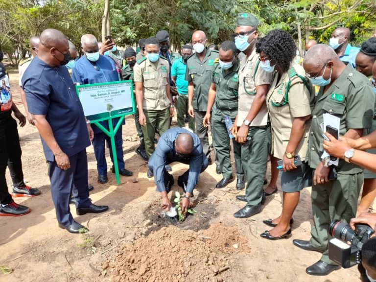 Over 7 million trees planted under Green Ghana Project - Adomonline.com