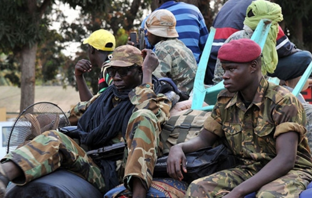 Séléka: The history of a Central African armed group - Adomonline.com
