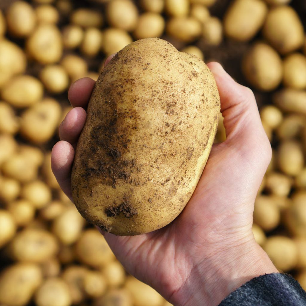 Health benefits of Irish potatoes - Adomonline.com