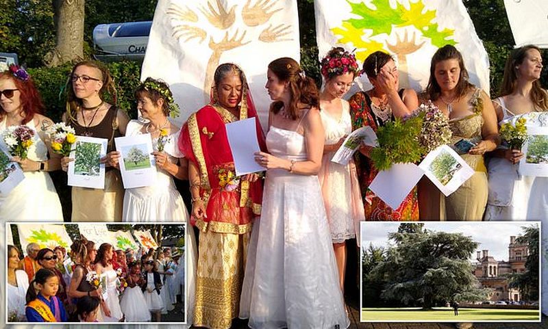 Women marry dozens of trees; their reason will shock you - Adomonline.com