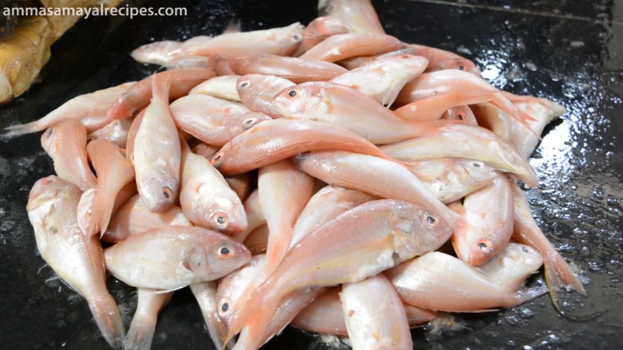 Fisheries Ministry to reduce importation of fish - Adomonline.com