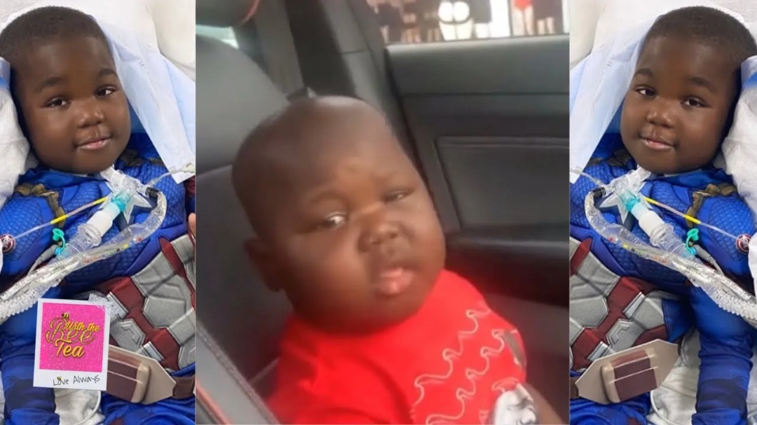 Social media users mourn as star dies aged 6 - Adomonline.com