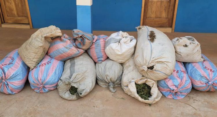 Three arrested with 21 bags of ‘wee’, single barrel gun - Adomonline.com