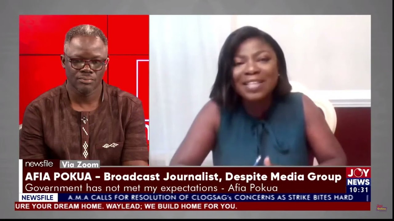 I will not cover election 2024 for fear of attacks – Afia Pokua ...