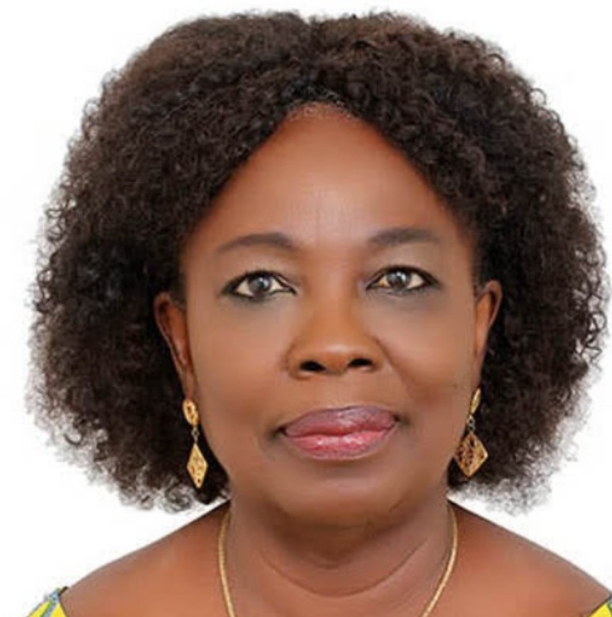 Professor Takyiwaa Manuh joins CDD-Ghana as Senior Fellow - Adomonline.com