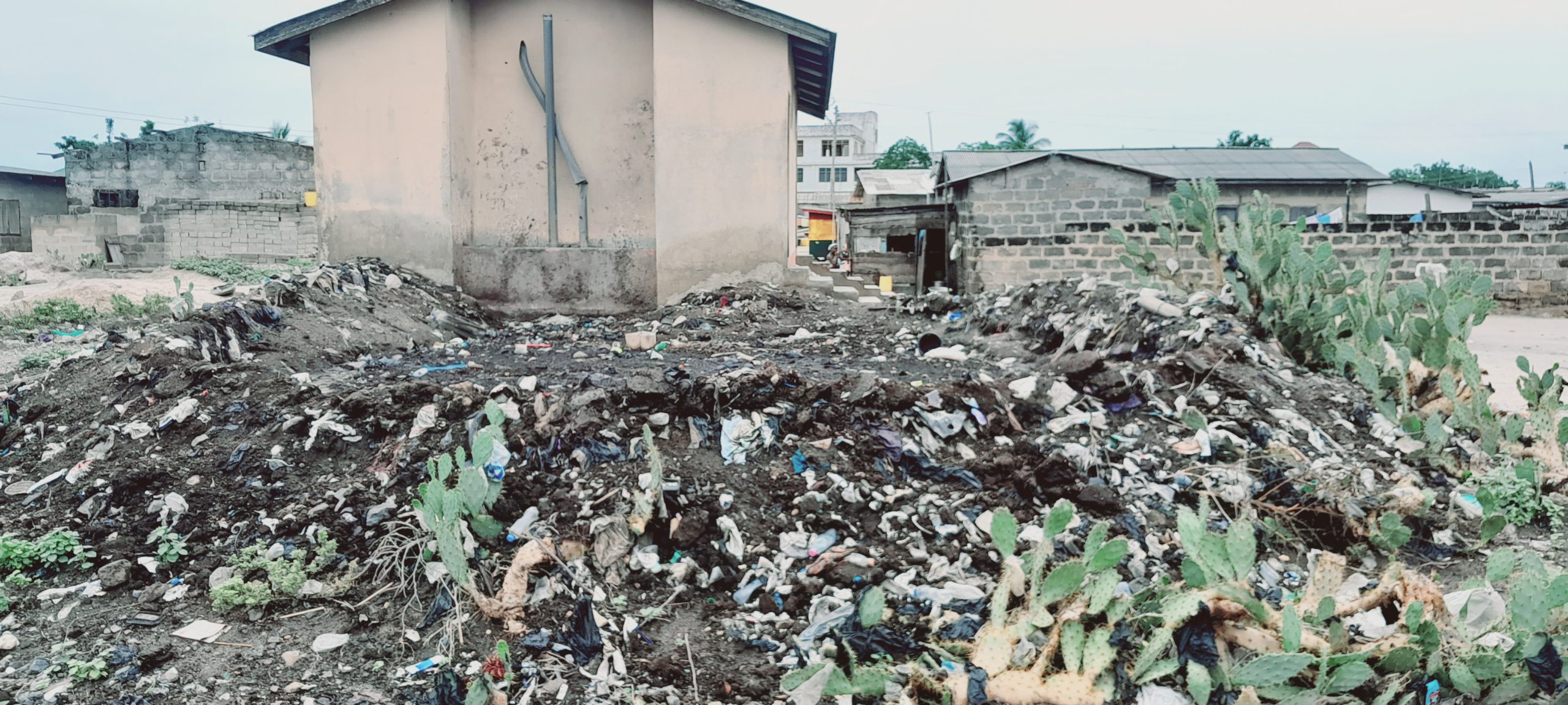 2022 World toilet day: C2R-CD takes steps to improve sanitation system ...