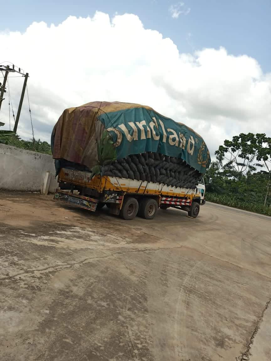 Police introduce Operation 'PAILES' to check insecure loading of ...