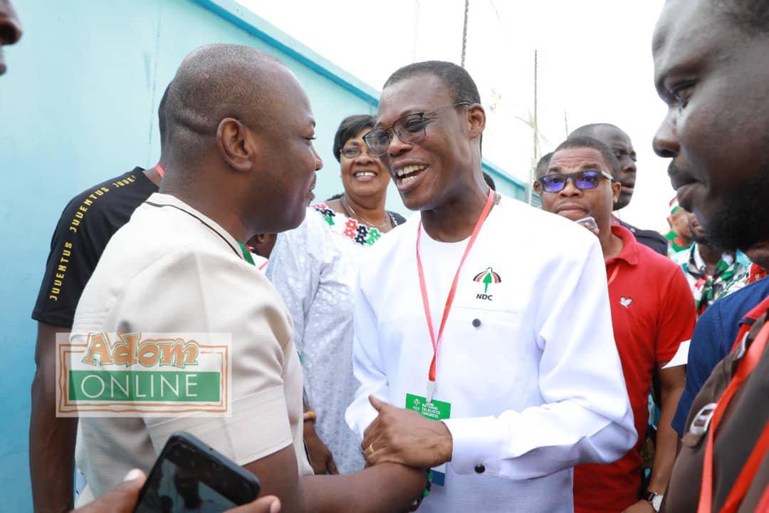 NDC elections: Fifi Kwetey elected General Secretary - Adomonline.com