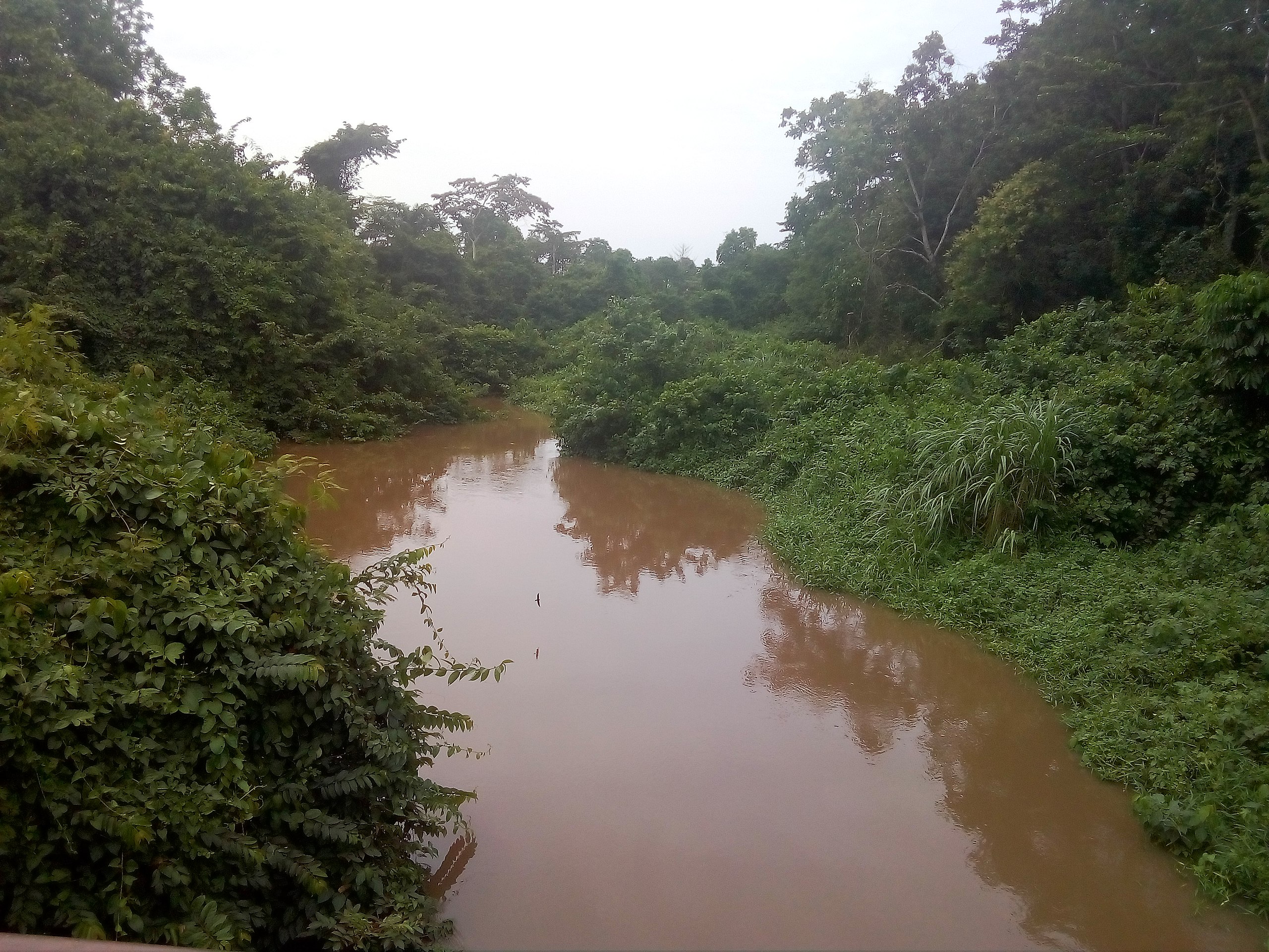 We walk through River Anum to our farms and school - Residents of ...