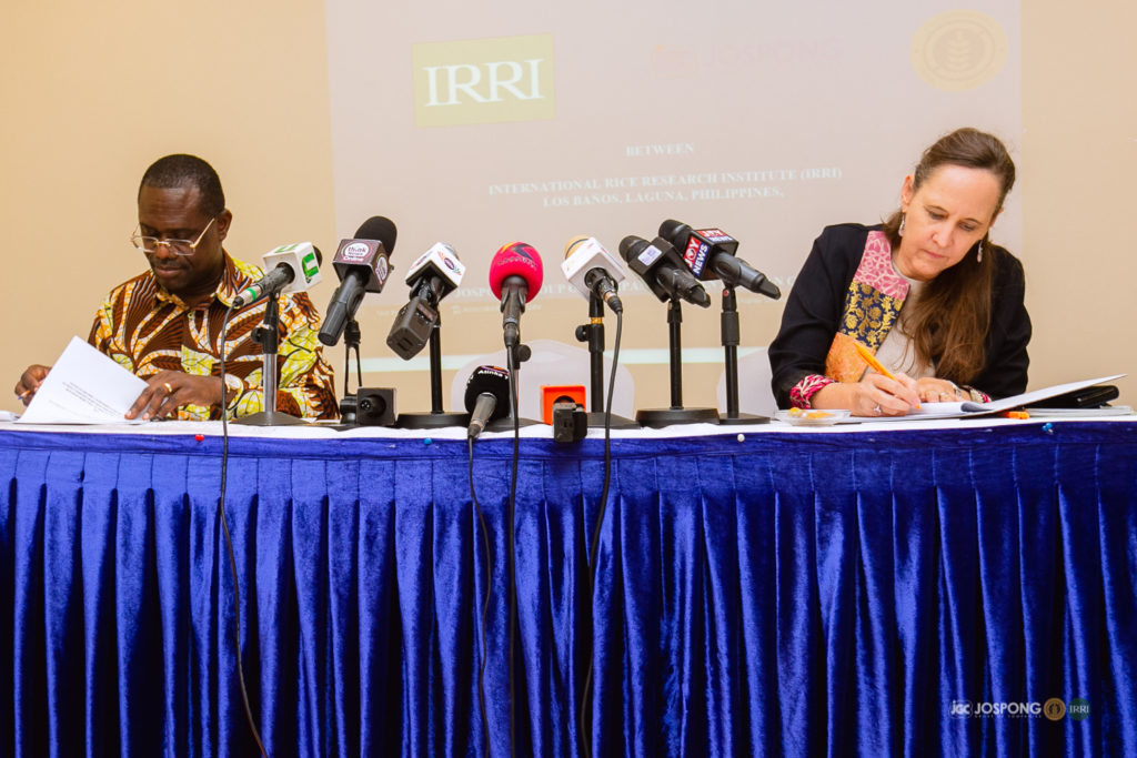 Rice project: Jospong Group signs agreement with IRRI - Adomonline.com