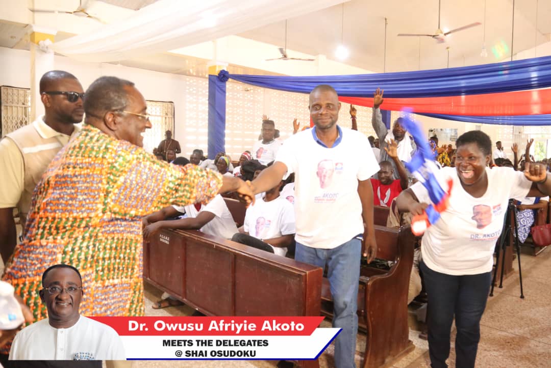 We can’t limp into ‘war’ – Afriyie Akoto to NPP delegates - Adomonline.com