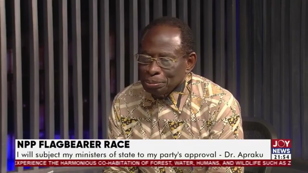 Akufo-Addo’s govt did not find a use for me – Dr Konadu Apraku ...