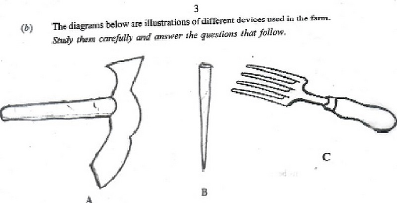 Ambiguous diagram for BECE Integrated Science Examination - Adomonline.com Ambiguous diagram for BECE Integrated Science Examination - Adomonline.com