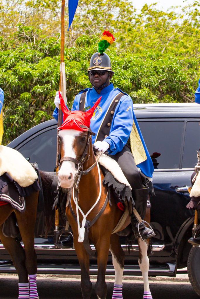 Police honours fallen horse with posthumous promotion - Adomonline.com