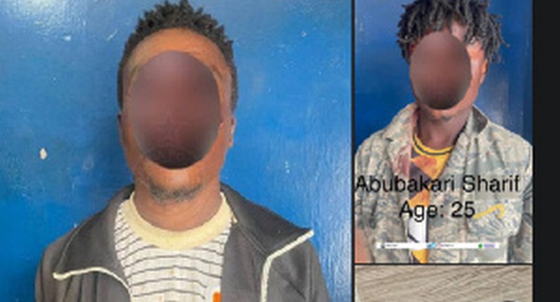 Police arrest two suspects for attempted robbery - Adomonline.com