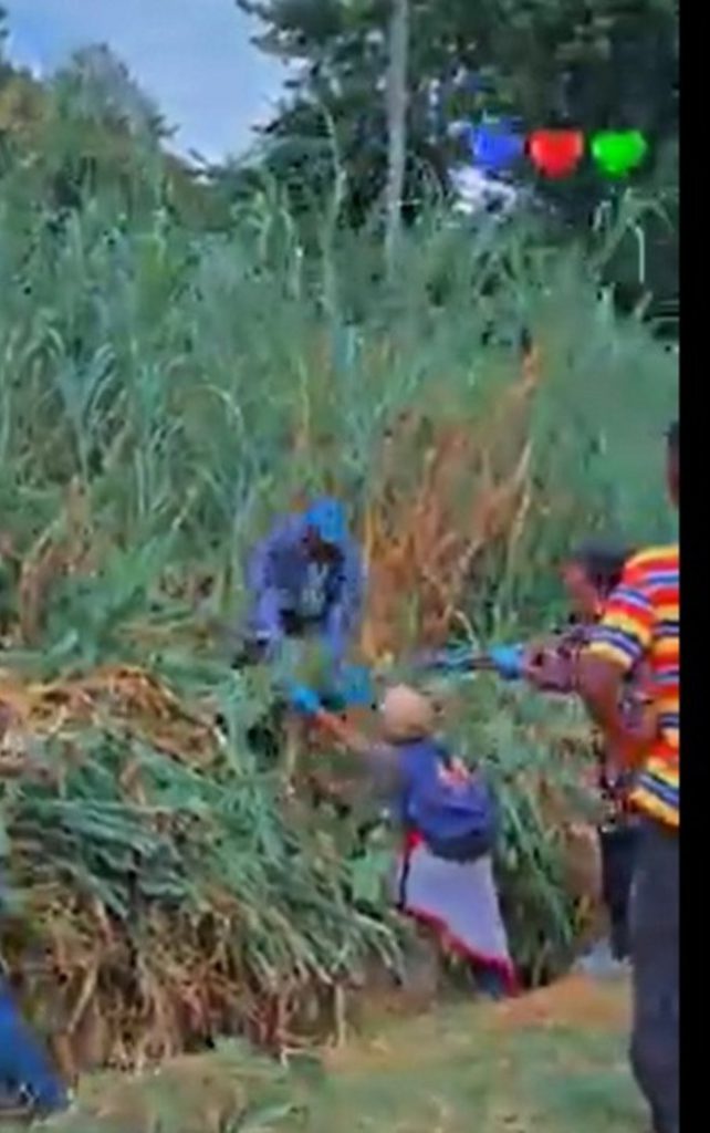 Dormaahene clears weeds on roadside [Video] - Adomonline.com