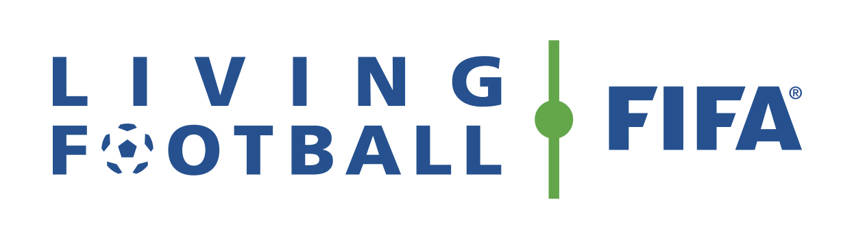 FIFA media rights tenders commence for Sub-Saharan Africa - Adomonline.com