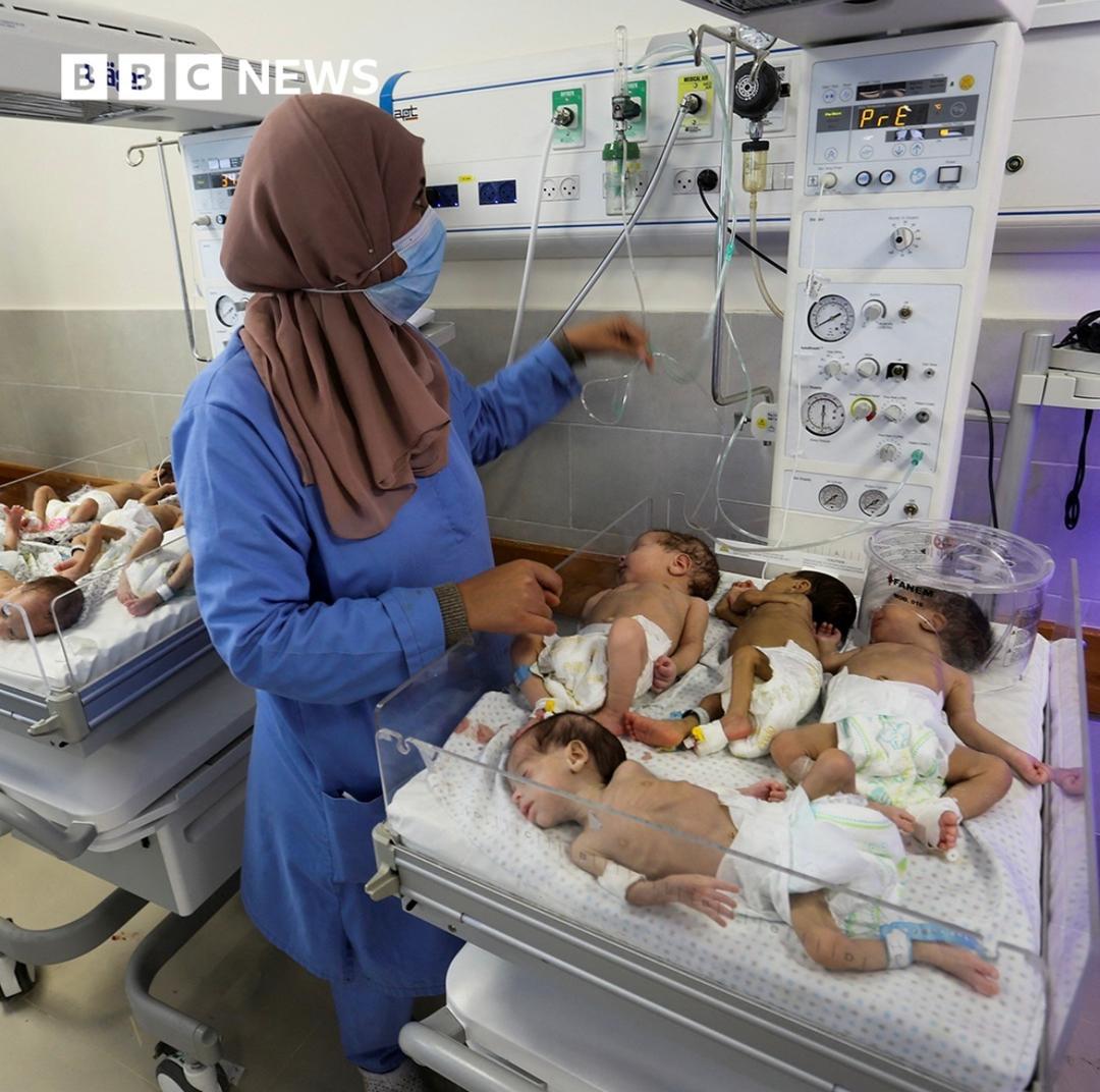 Israel-Hamas war: Premature babies safely evacuated from Gaza ...