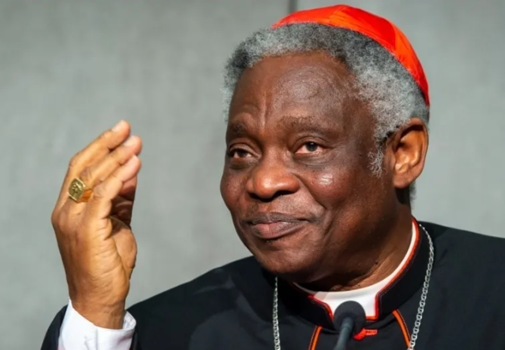 Draw inspiration from Pope Francis ahead of the elections – Cardinal ...