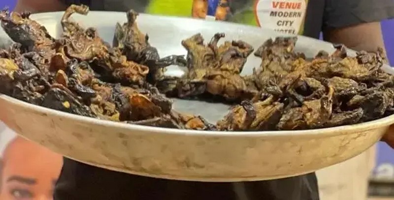 The story behind Chef Faila's fried frogs at just-ended cook-a-thon ...