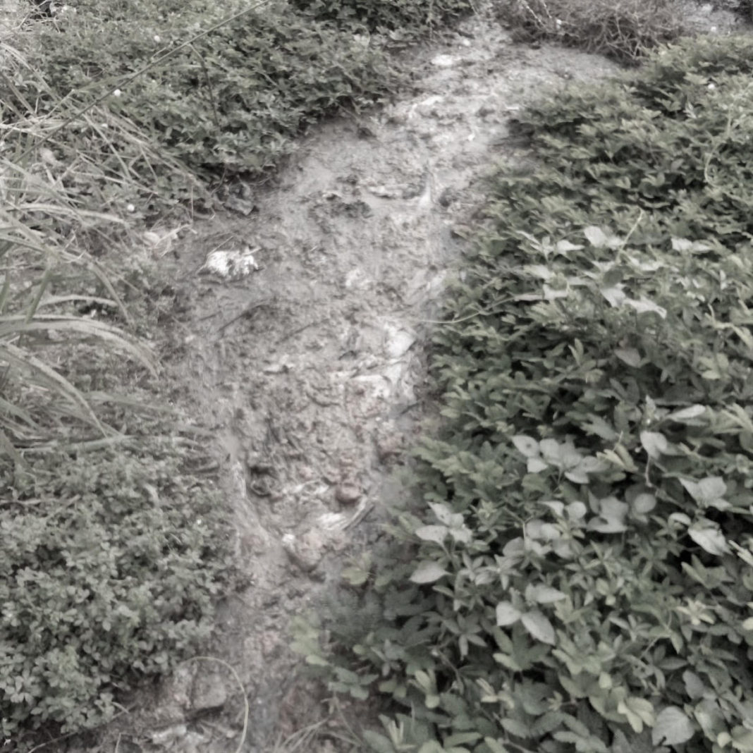 Tabre residents decry seepage of faecal matter from public toilet into ...