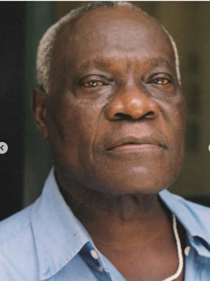 Don’t rely on government money for your movie projects – King Ampaw to ...