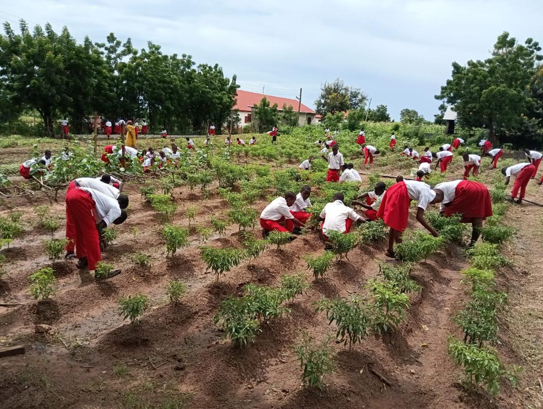 Northern College's school farming system praised as model for ...