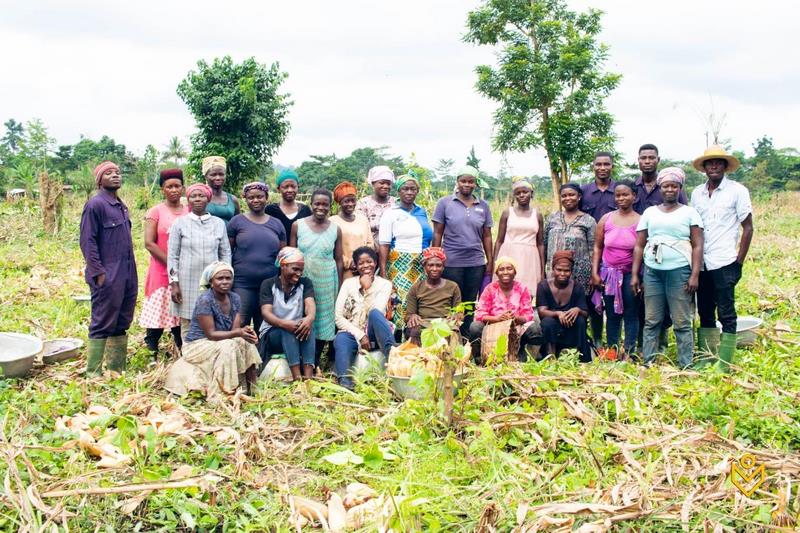 Empowering Ghana's rural women and youth: Transforming agriculture for ...