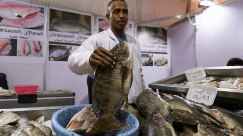 ‘Let it rot’ campaign hits fish prices - Adomonline.com