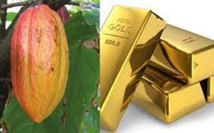 Gold, cocoa prices to surge in 2025, but crude oil to tumble – Report ...