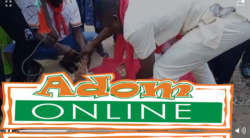 Assin Central: NDC members invoke curses on NPP candidate for allegedly ...