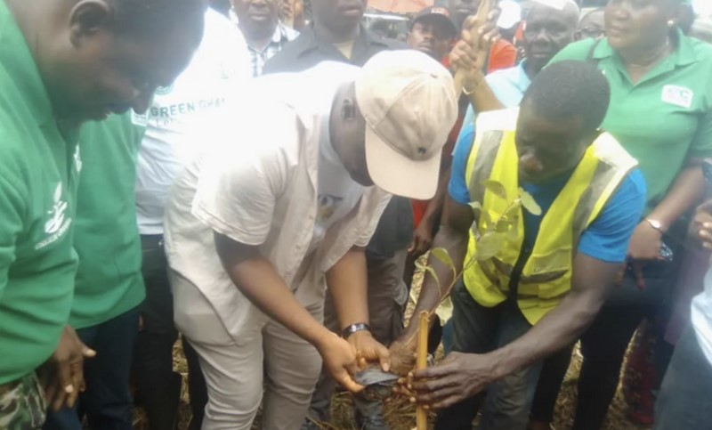 Take the habit of tree planting seriously - Dormaahene - Adomonline.com