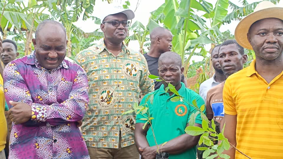 CHED boss calls for crackdown on illegal logging to protect cocoa farms ...