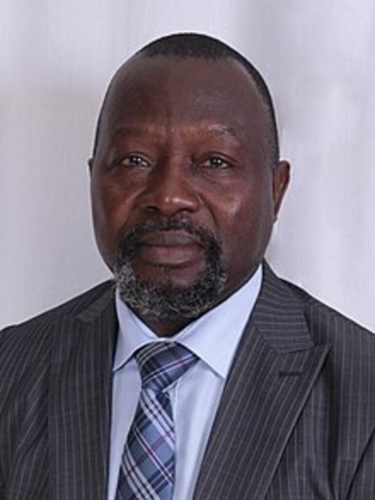 Dominic Ayine takes responsibility for proposed LI on road traffic ...