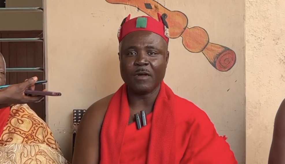 Come to Nkroful and apologise to us – Nzema chiefs tell Napo for ...