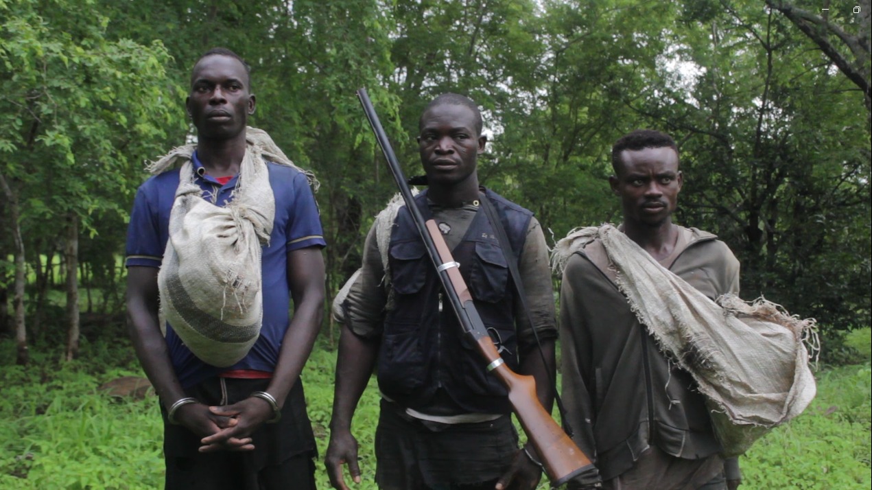 Three notorious poachers arrested in Mole National Park remanded ...