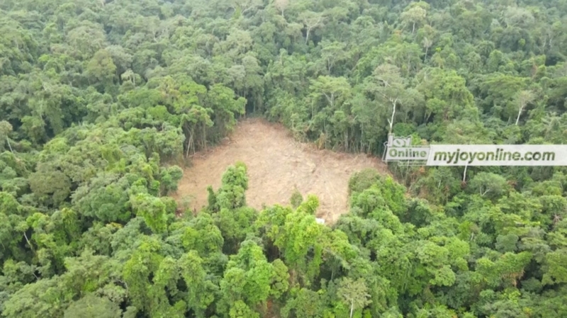 One of Ghana’s protected forests invaded for illegal mining ...