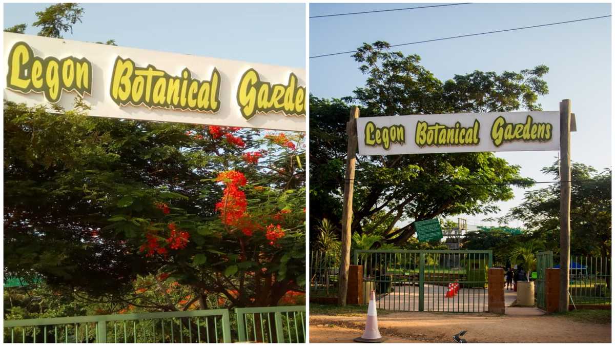 University of Ghana wins legal tussle over Legon Botanical Gardens ...